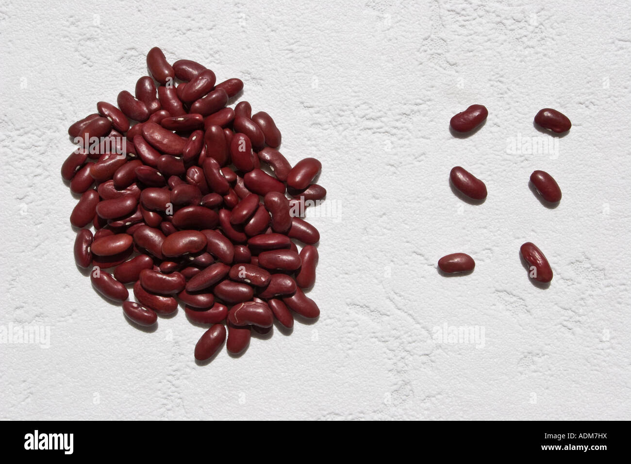 Closeup view of pile of beans collected and six beans isolated on white ...