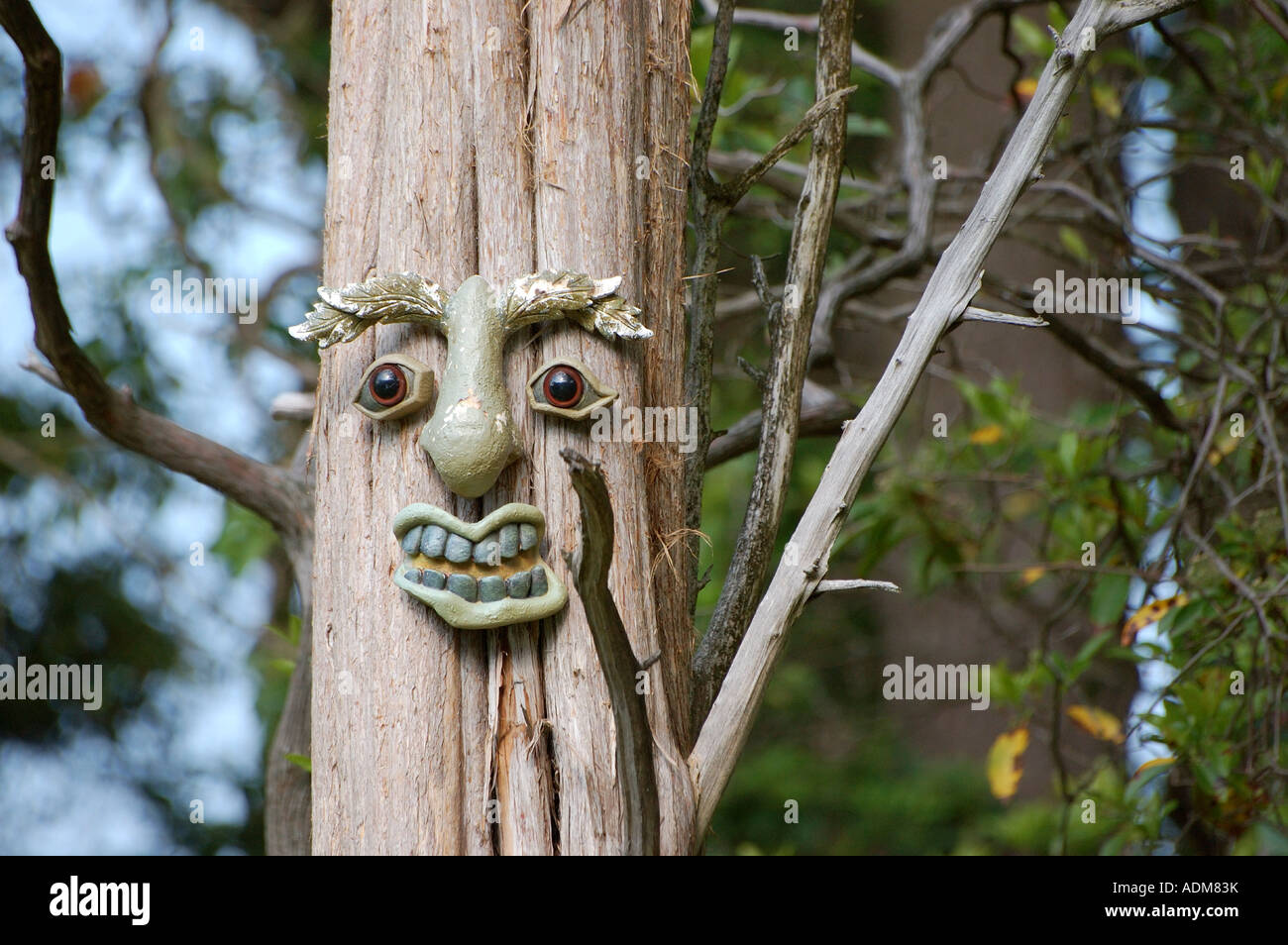 Forest Faces tree decorations becoming ever more popular as gardening ...