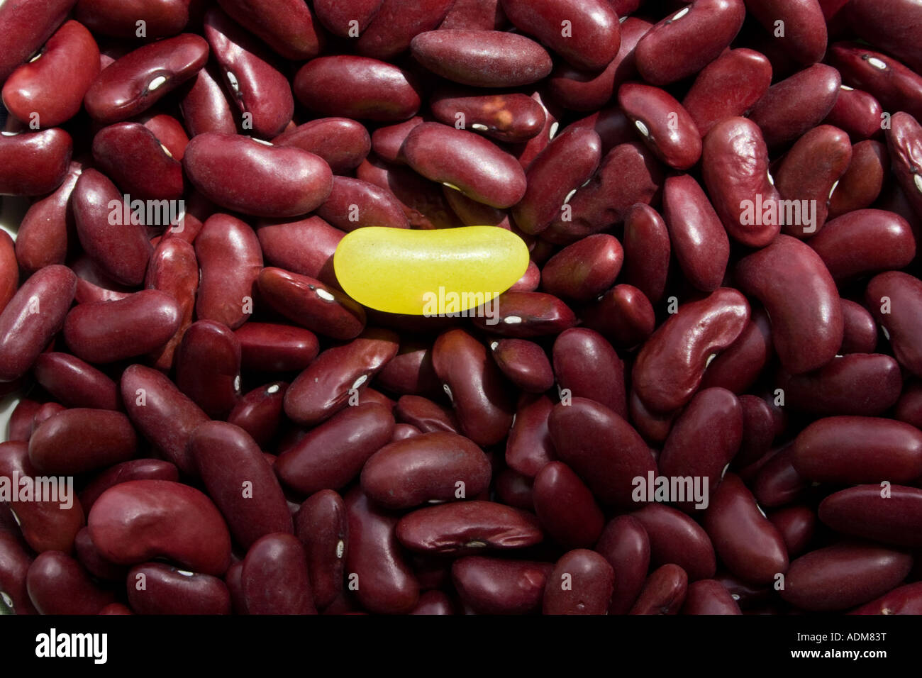 Red Kidney Beans and single yellow jelly bean Stock Photo - Alamy