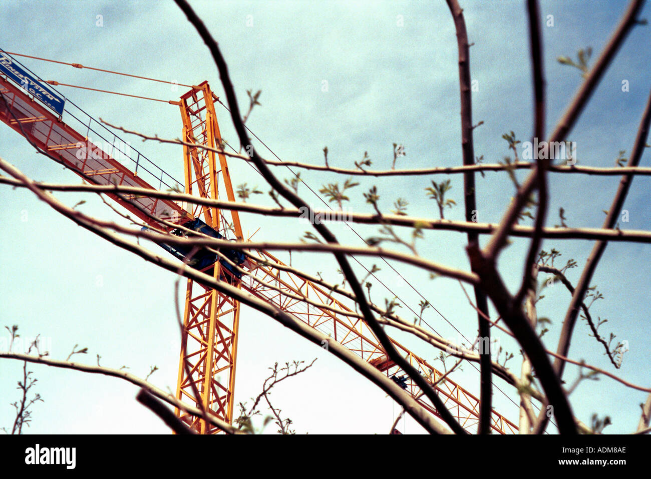 crane through tree branches Stock Photo - Alamy