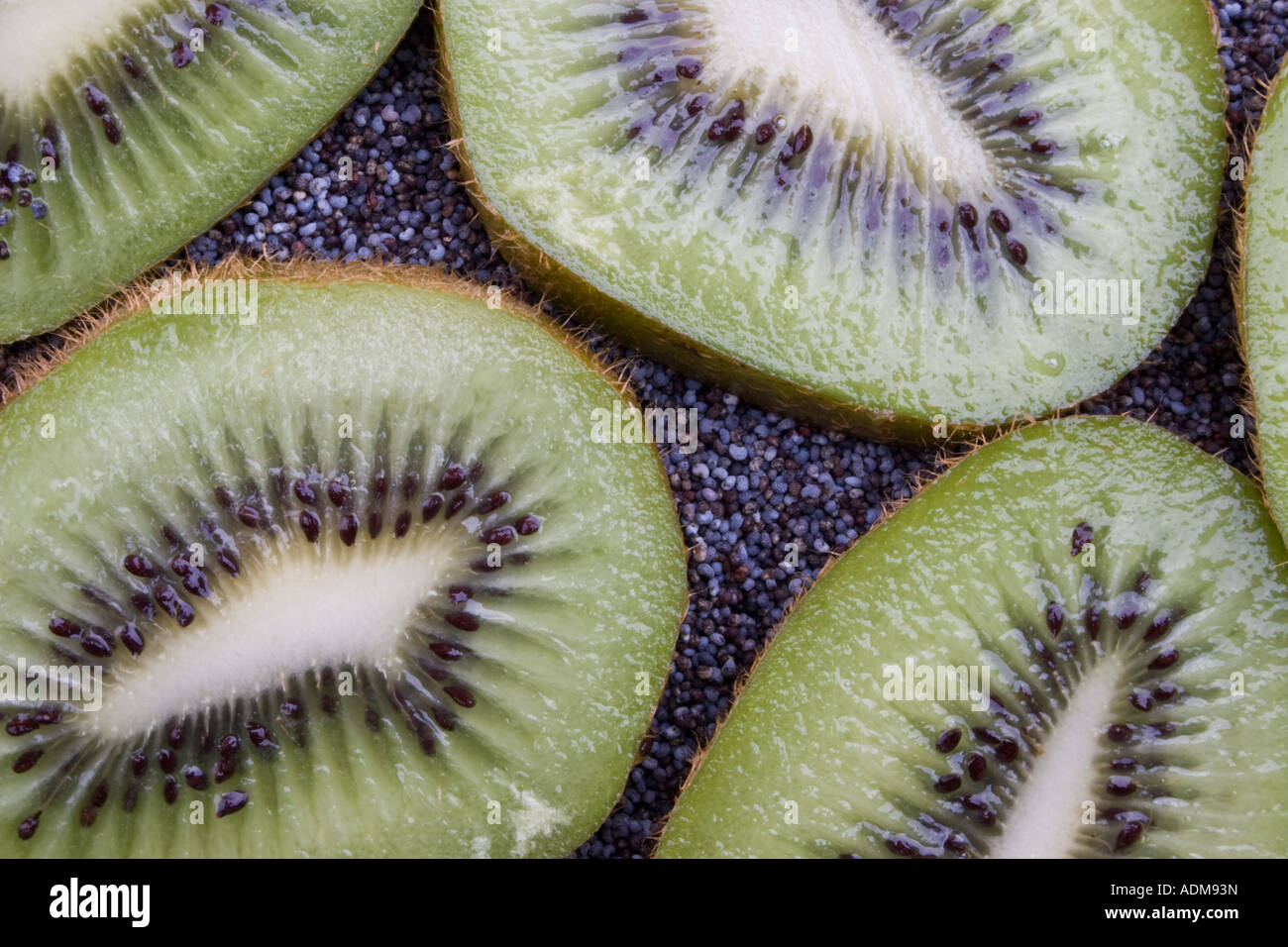 Poppy fruit hi-res stock photography and images - Alamy