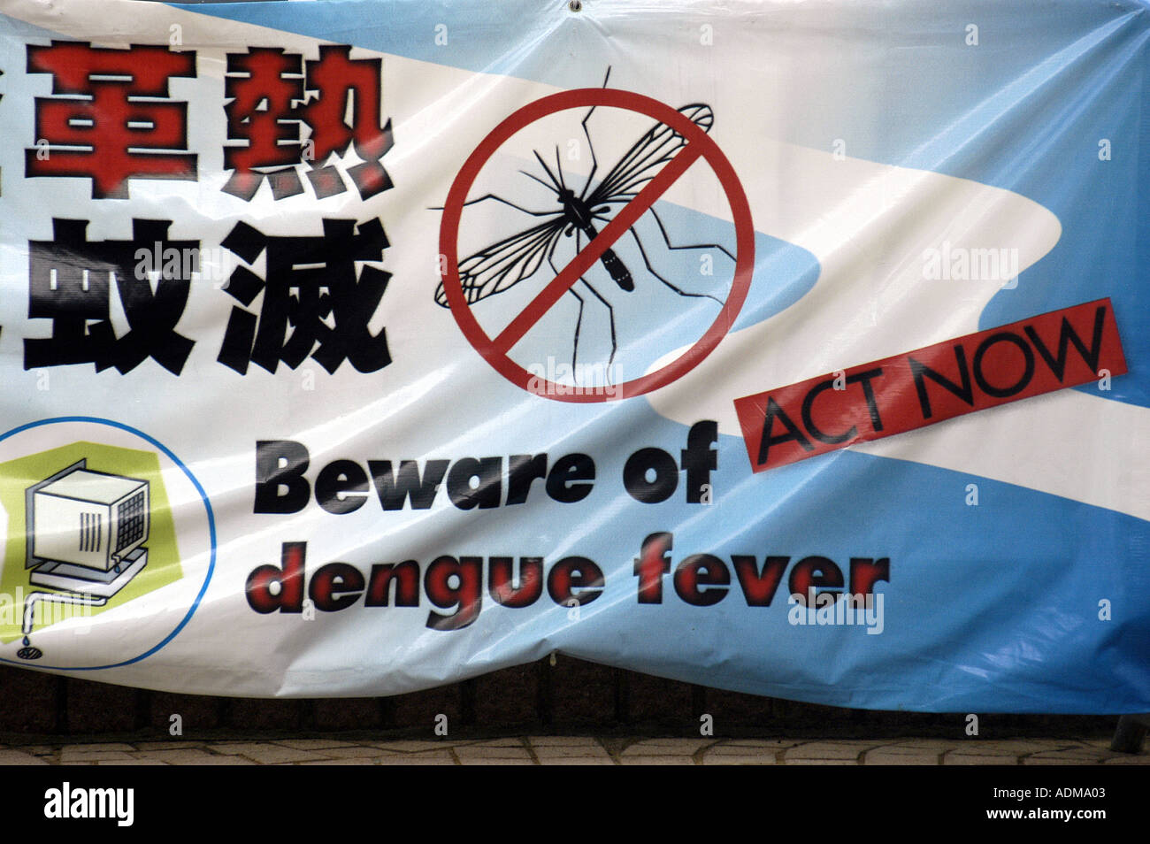 Dengue fever health warning sign mosquito bite epidemy tropical disease ...