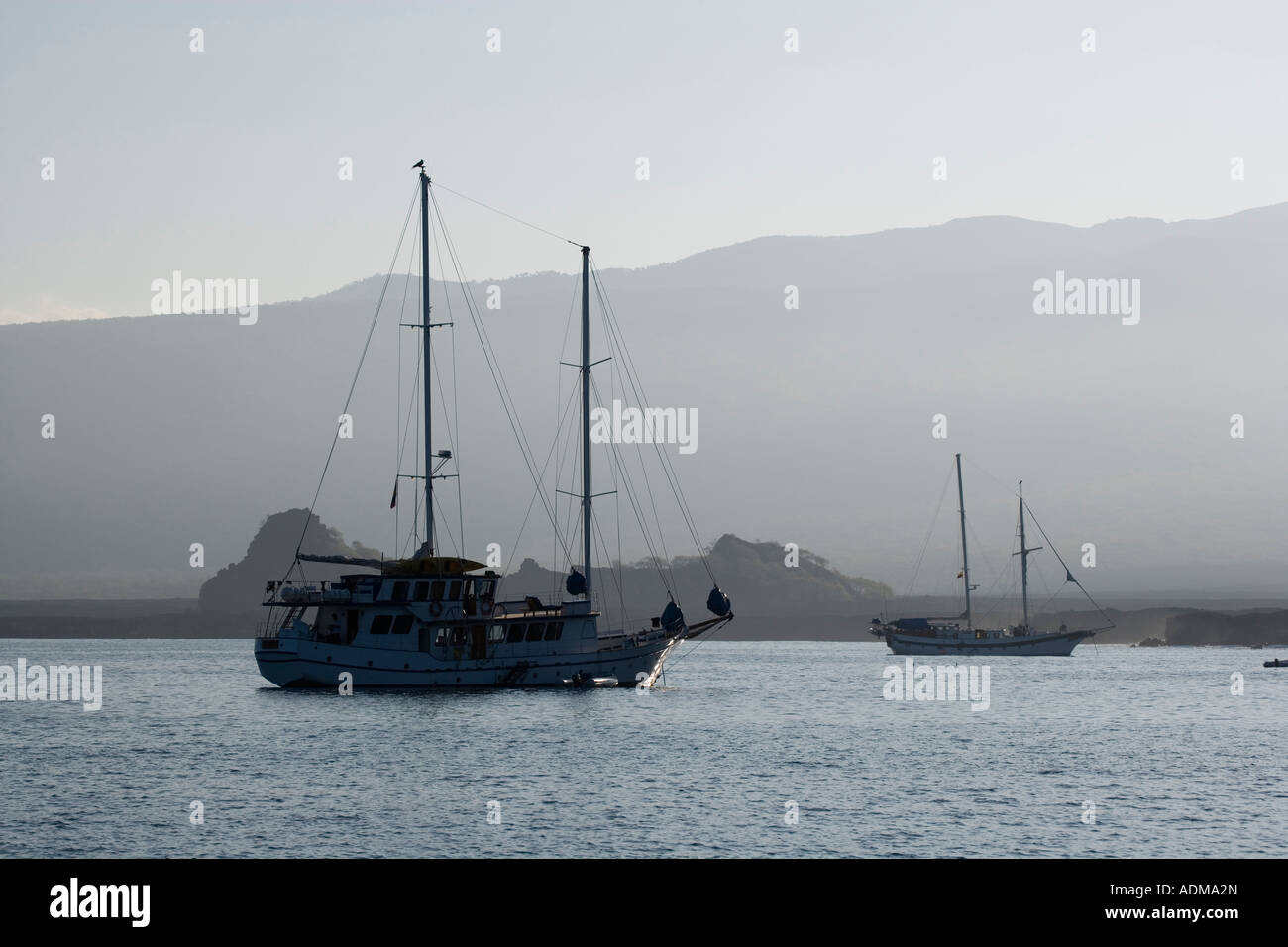 Cachalote hi-res stock photography and images - Alamy