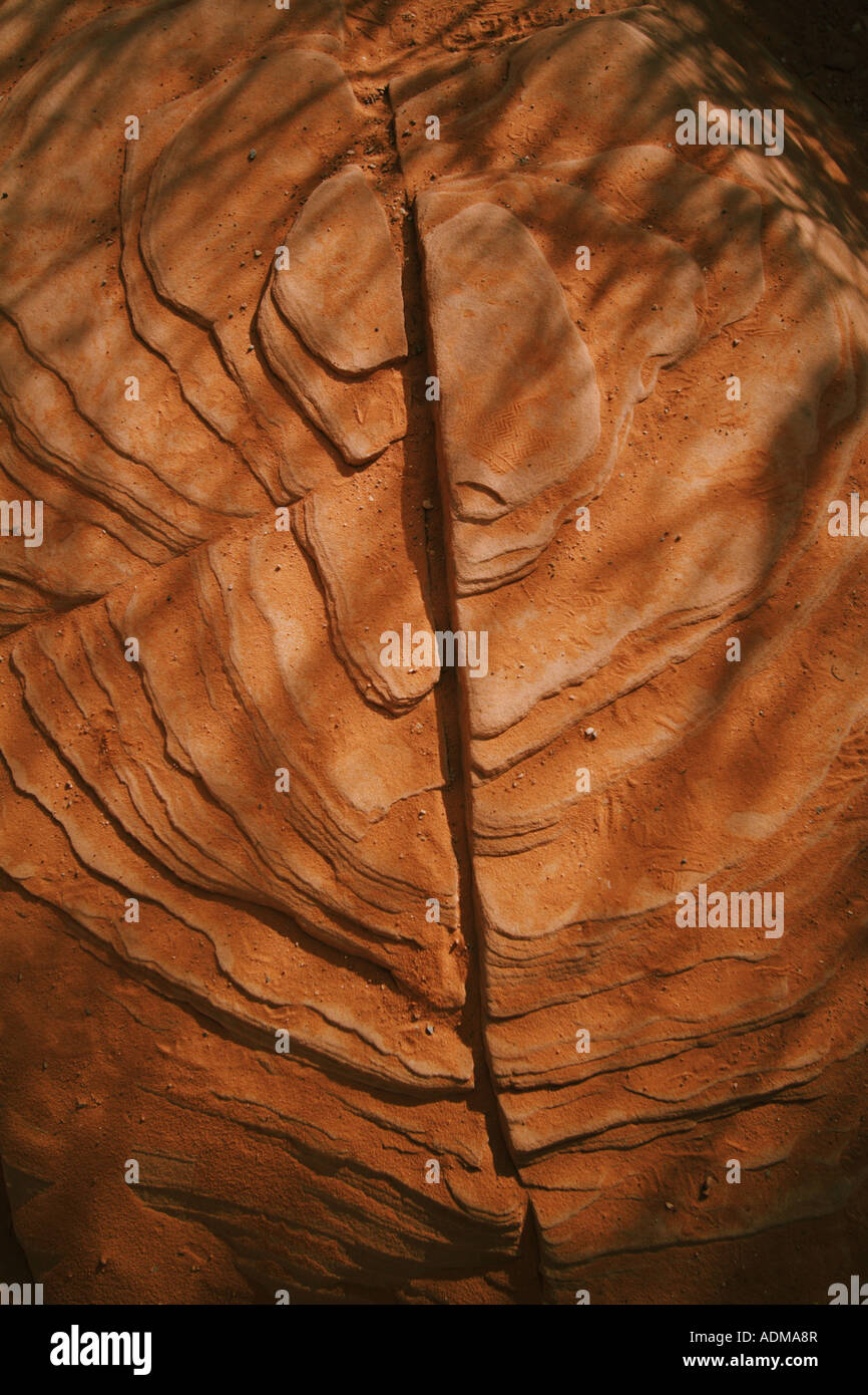 detail of iron rich sandstone in Valley of Fire National State Park ...