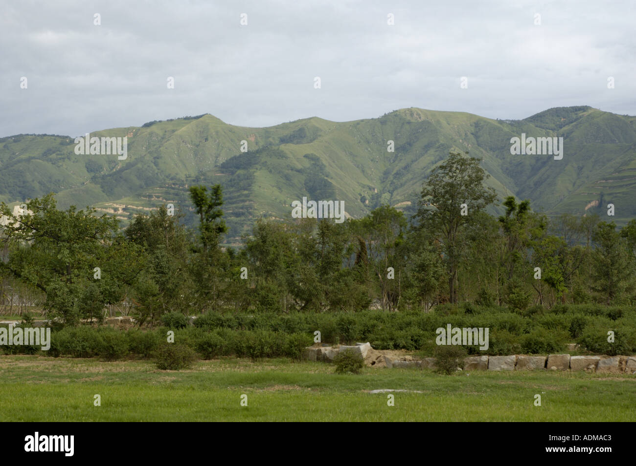 Terra cotta warriors hi-res stock photography and images - Alamy