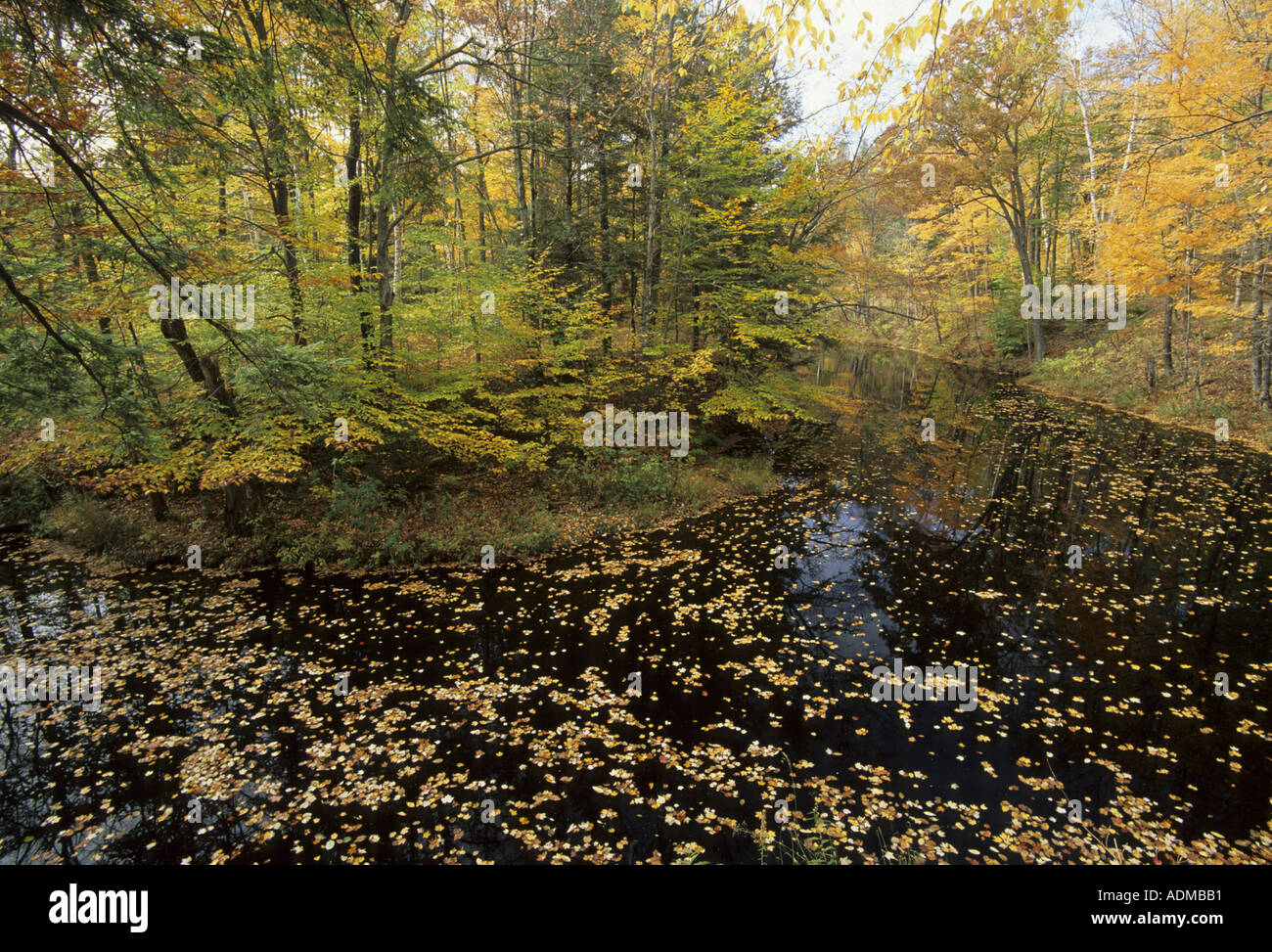 Fall colors Vermont Stock Photo - Alamy