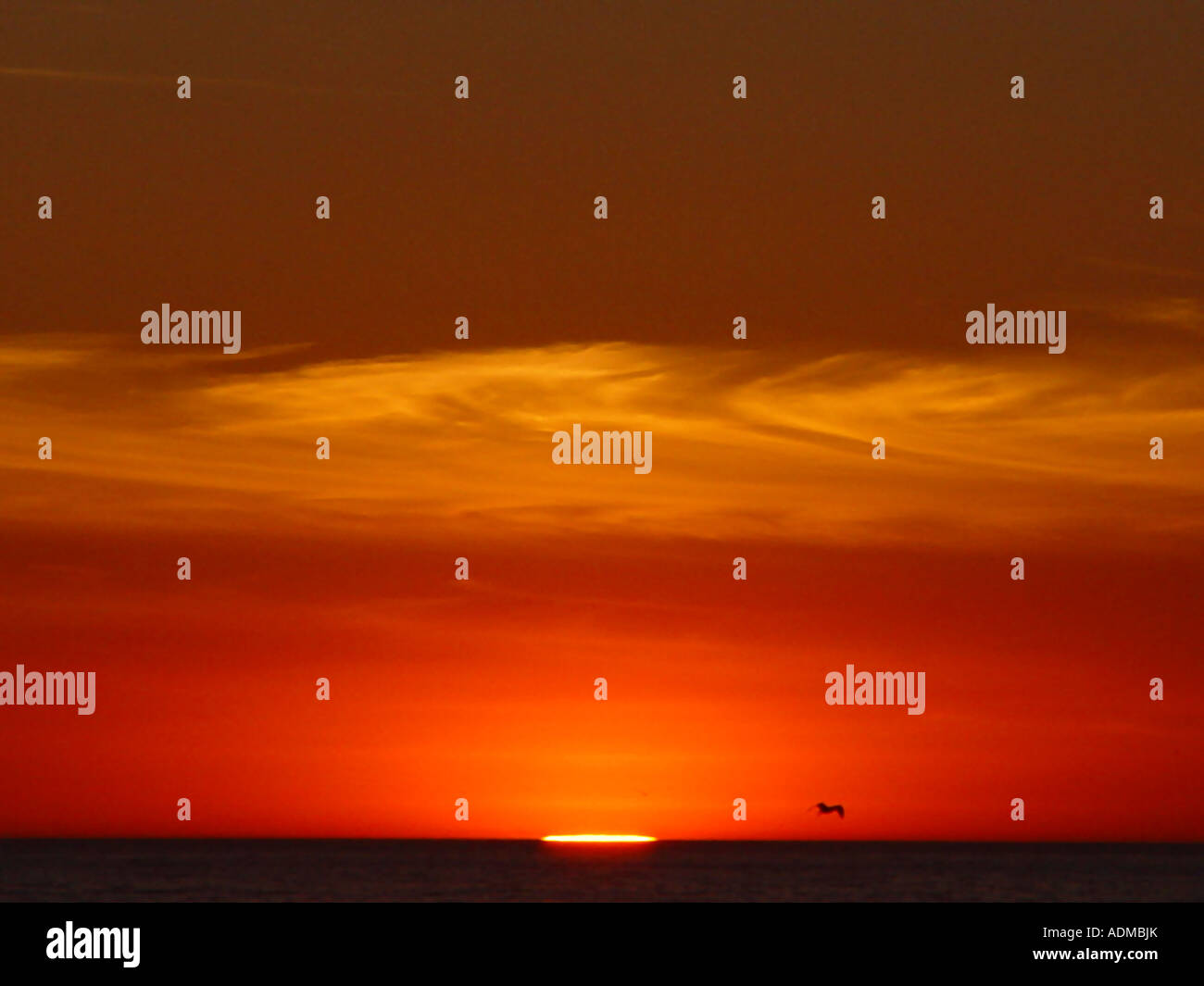 Thin slice orange on hi-res stock photography and images - Alamy