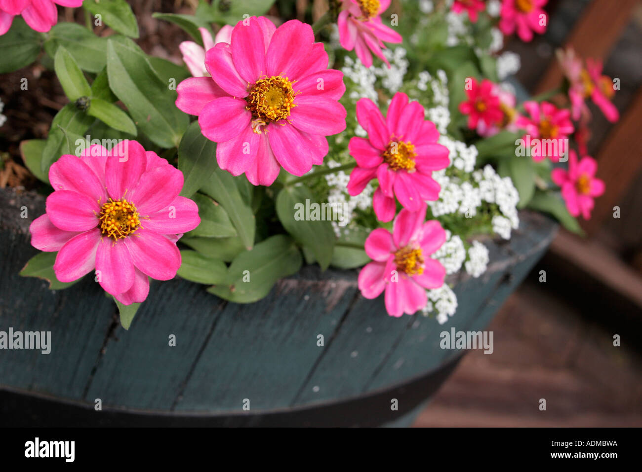 Harrison street station hi-res stock photography and images - Alamy