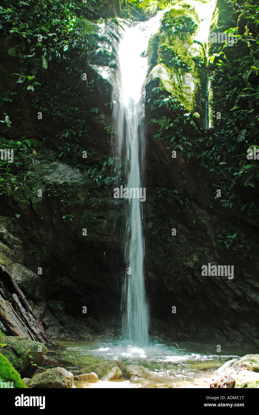 Waterfall in the Jungle Rainforest near Tena, Ecuador Stock Photo - Alamy