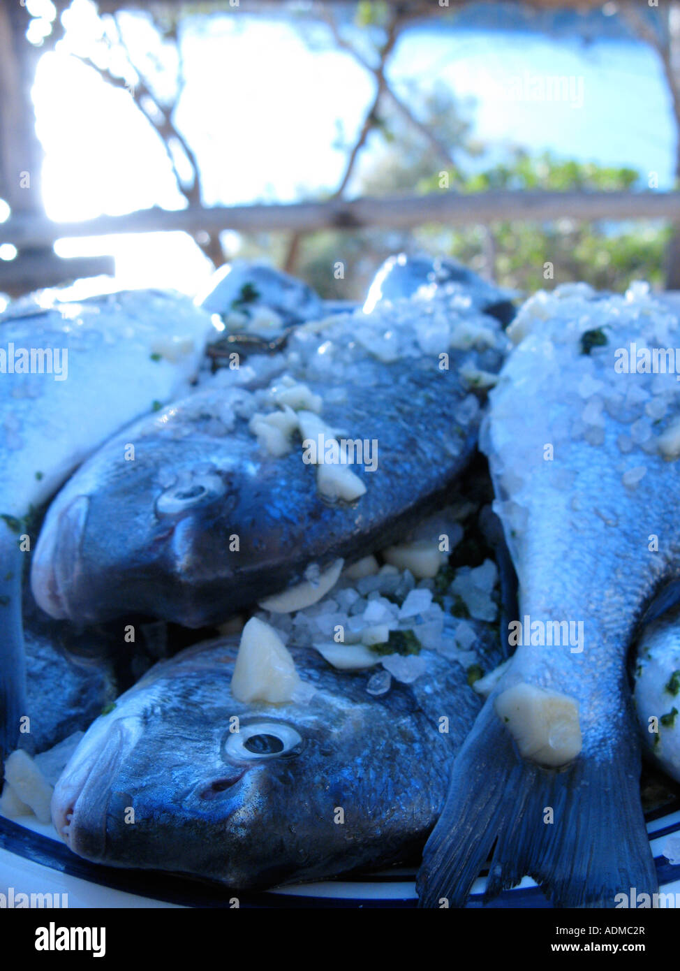 Fish in salt ready for cooking Stock Photo - Alamy
