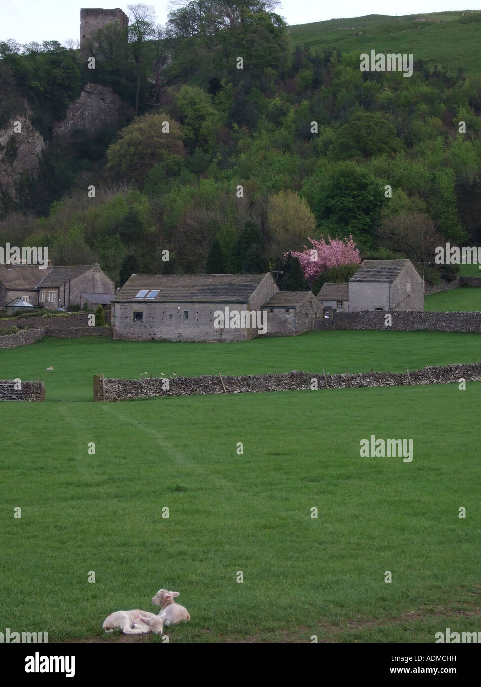 Peveril Castle, Castleton, UK Stock Photo - Alamy