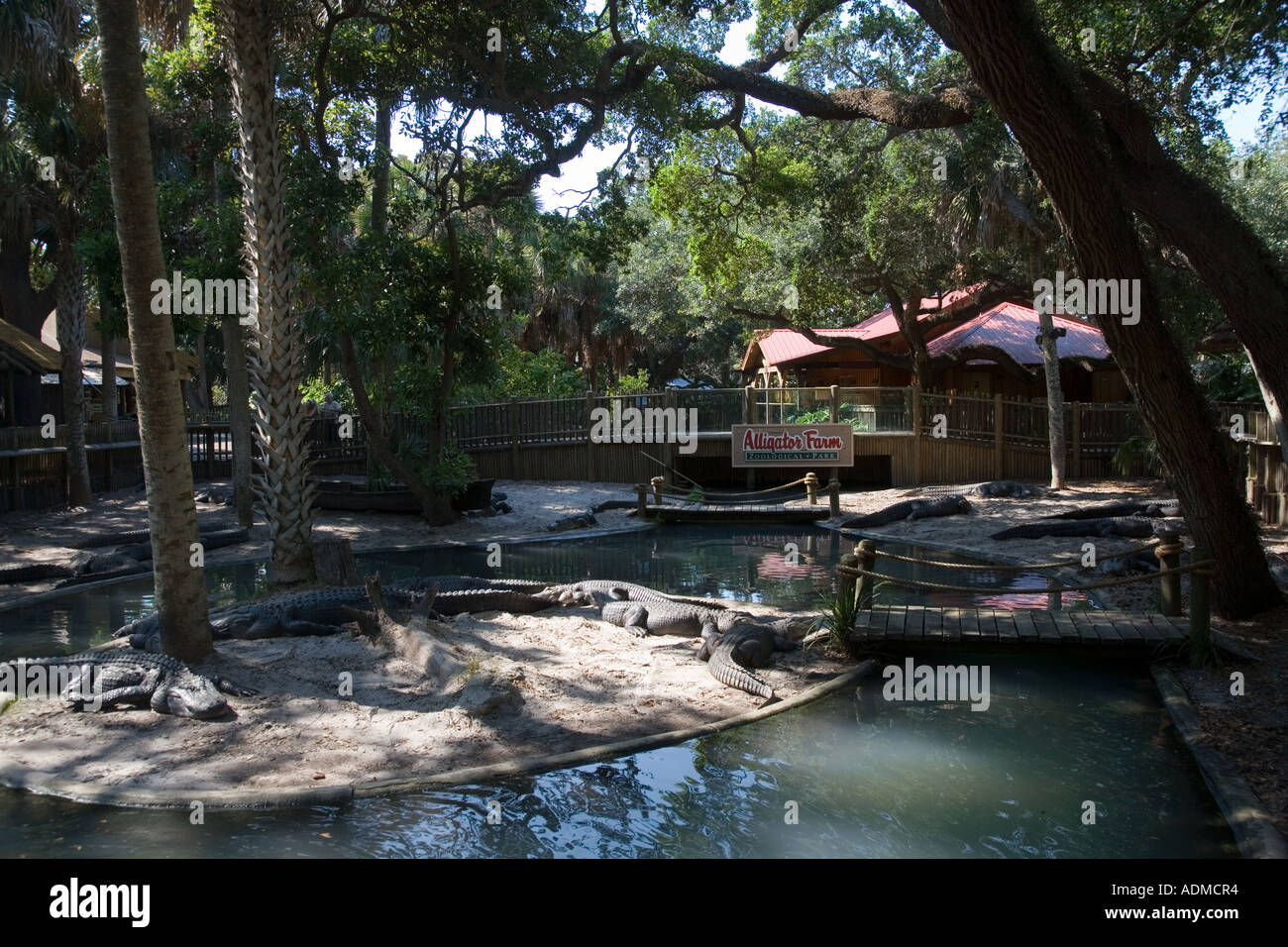 St Augustine Alligator Farm St Augustine Florida USA Stock Photo - Alamy