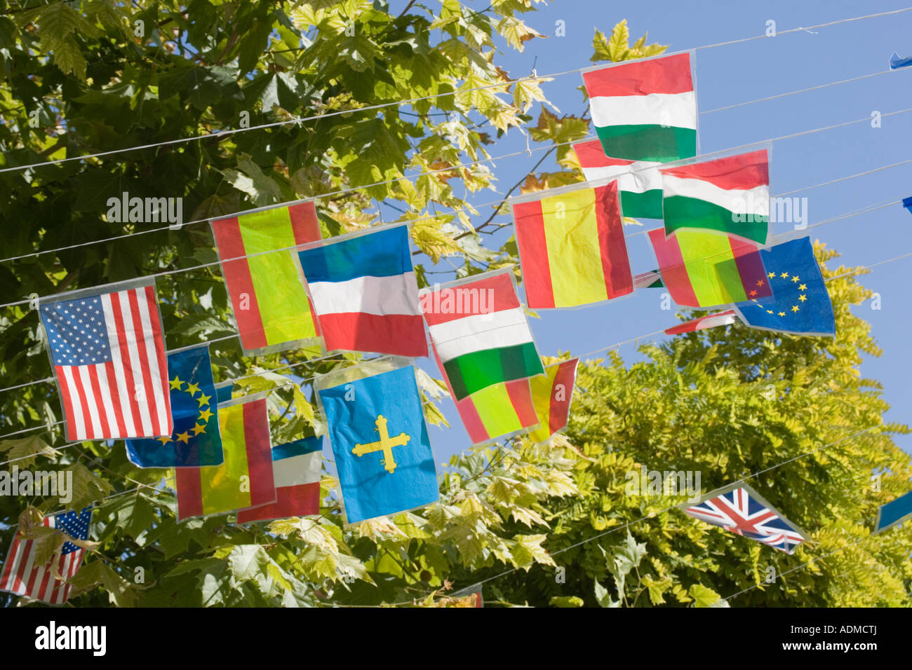 Multi coloured flags of the European union flying against a blue sky ...