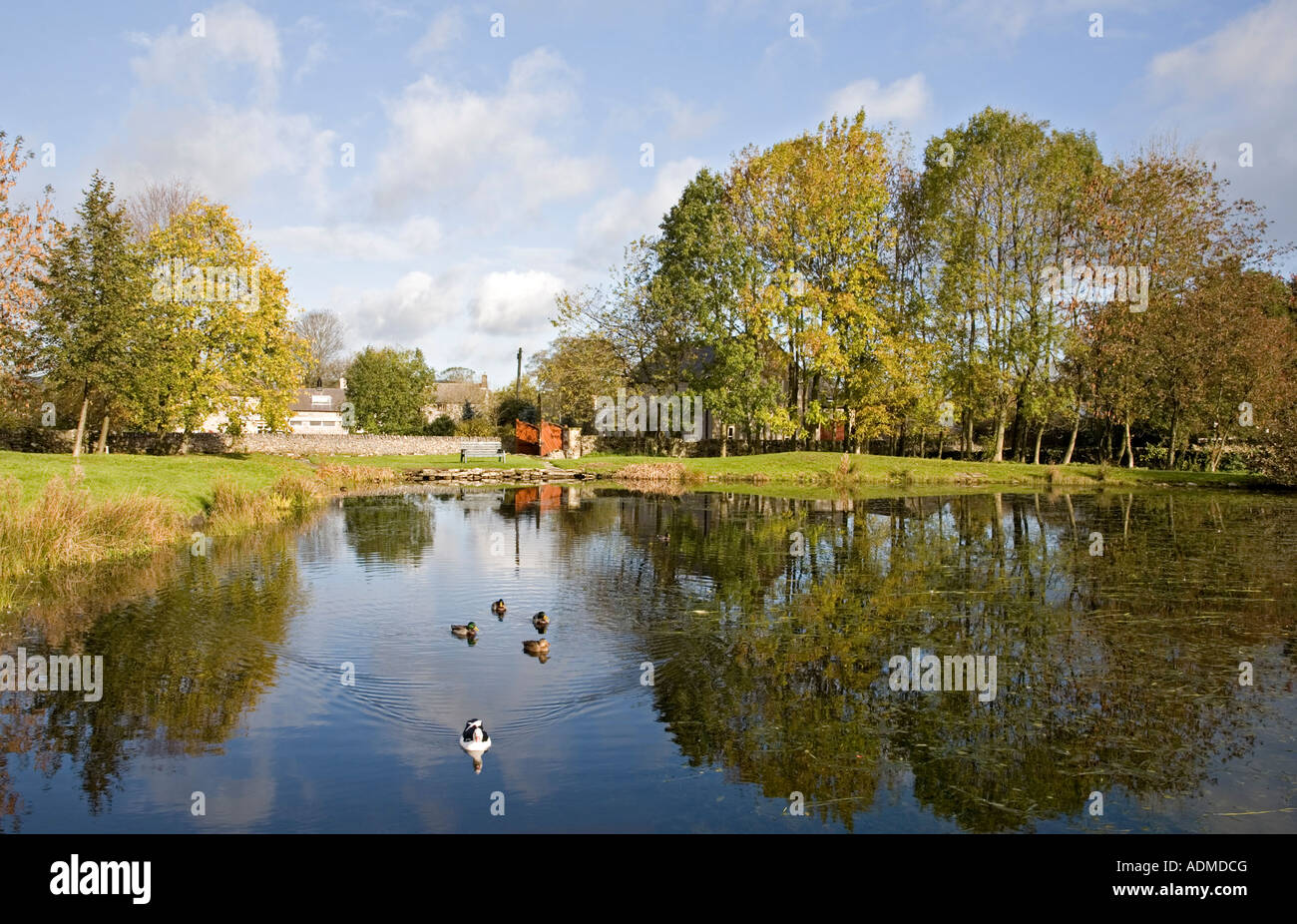 Pond in pretty village hi-res stock photography and images - Alamy