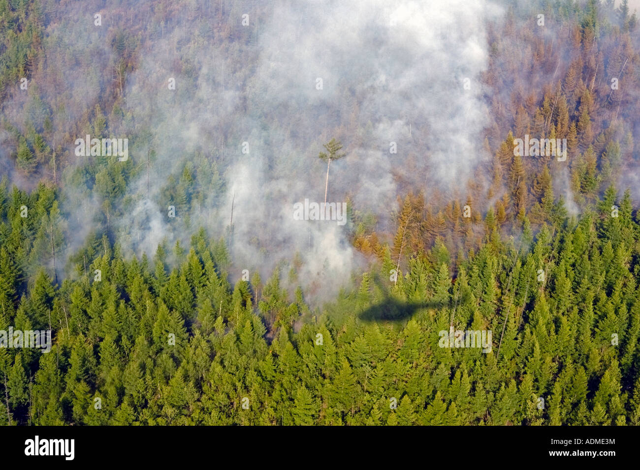 Komsomolsk Russia June 2007 A forest fire in a remote region of the ...