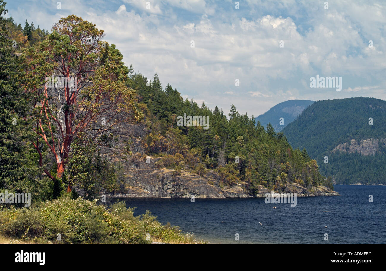 Powell river rapids british columbia hi-res stock photography and ...