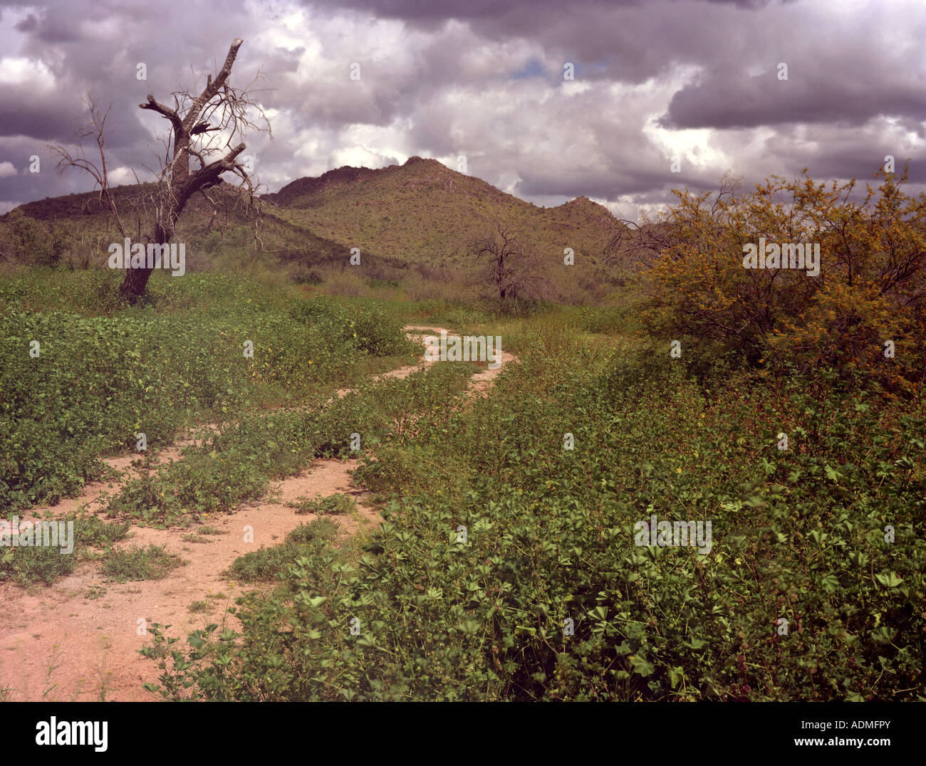 Approaching road junction hi-res stock photography and images - Alamy