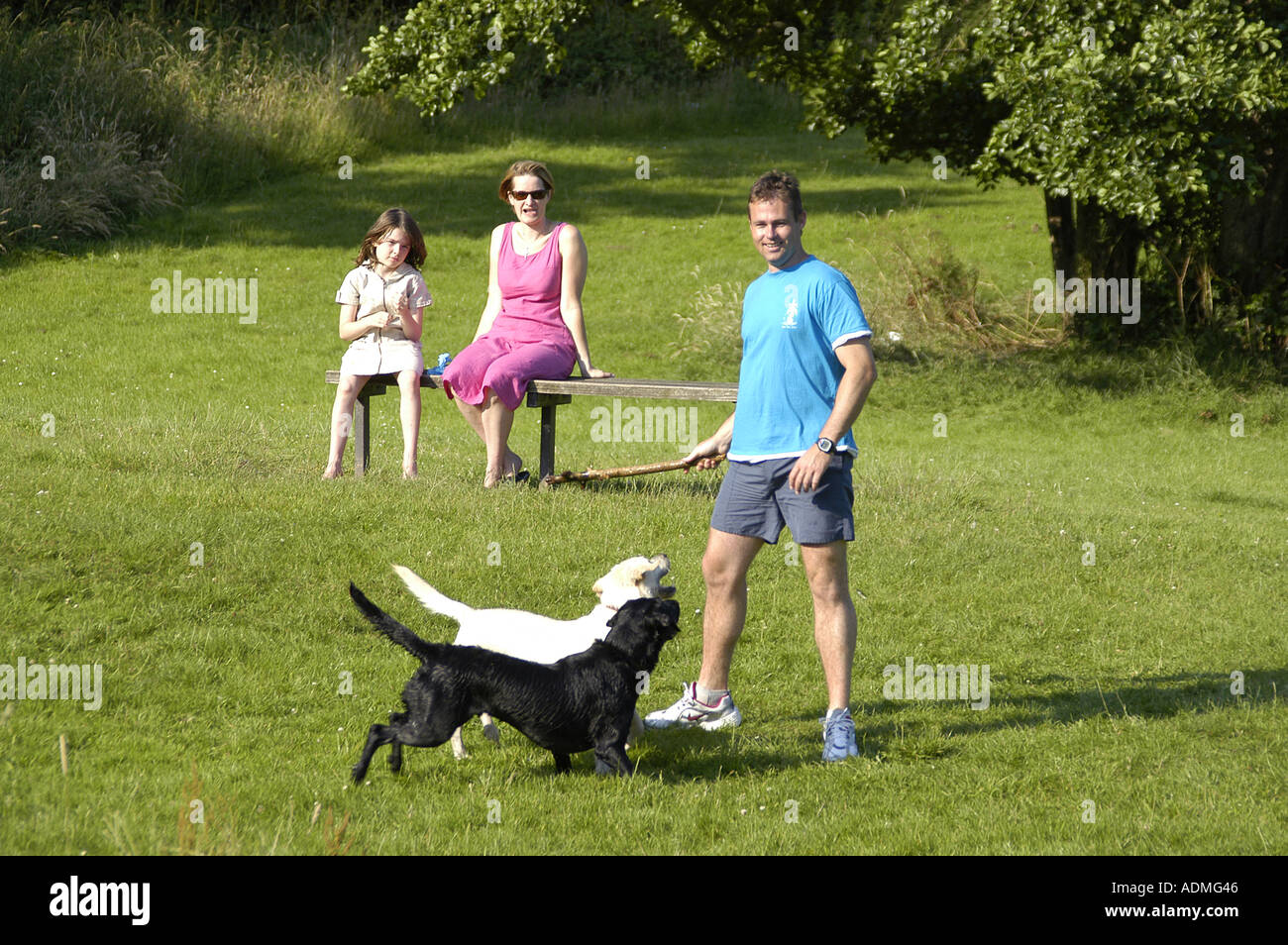 pet dog tame train challenge commitment communication competition ...