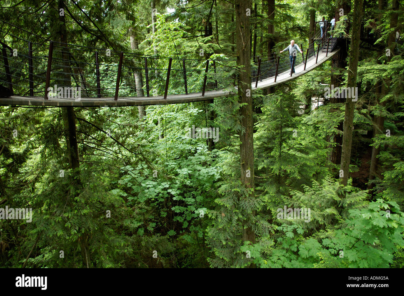 A man walking along the Capilano tree top suspension bridge in ...