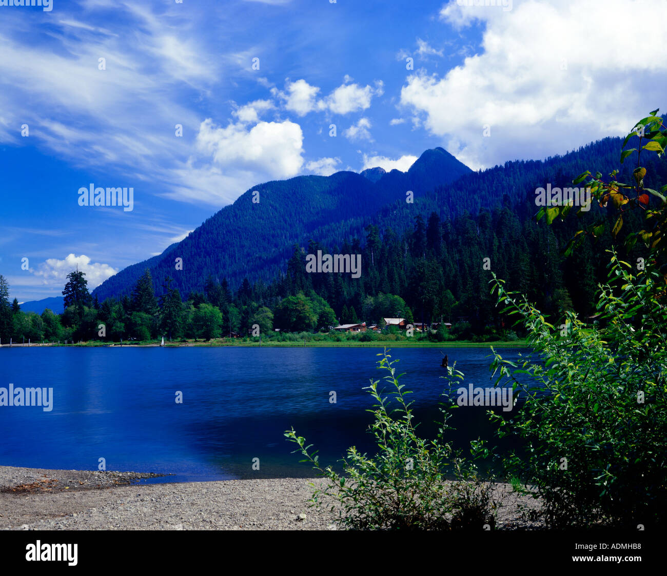 Lake Quinault on the Olympic peninsula of Washington Stock Photo - Alamy