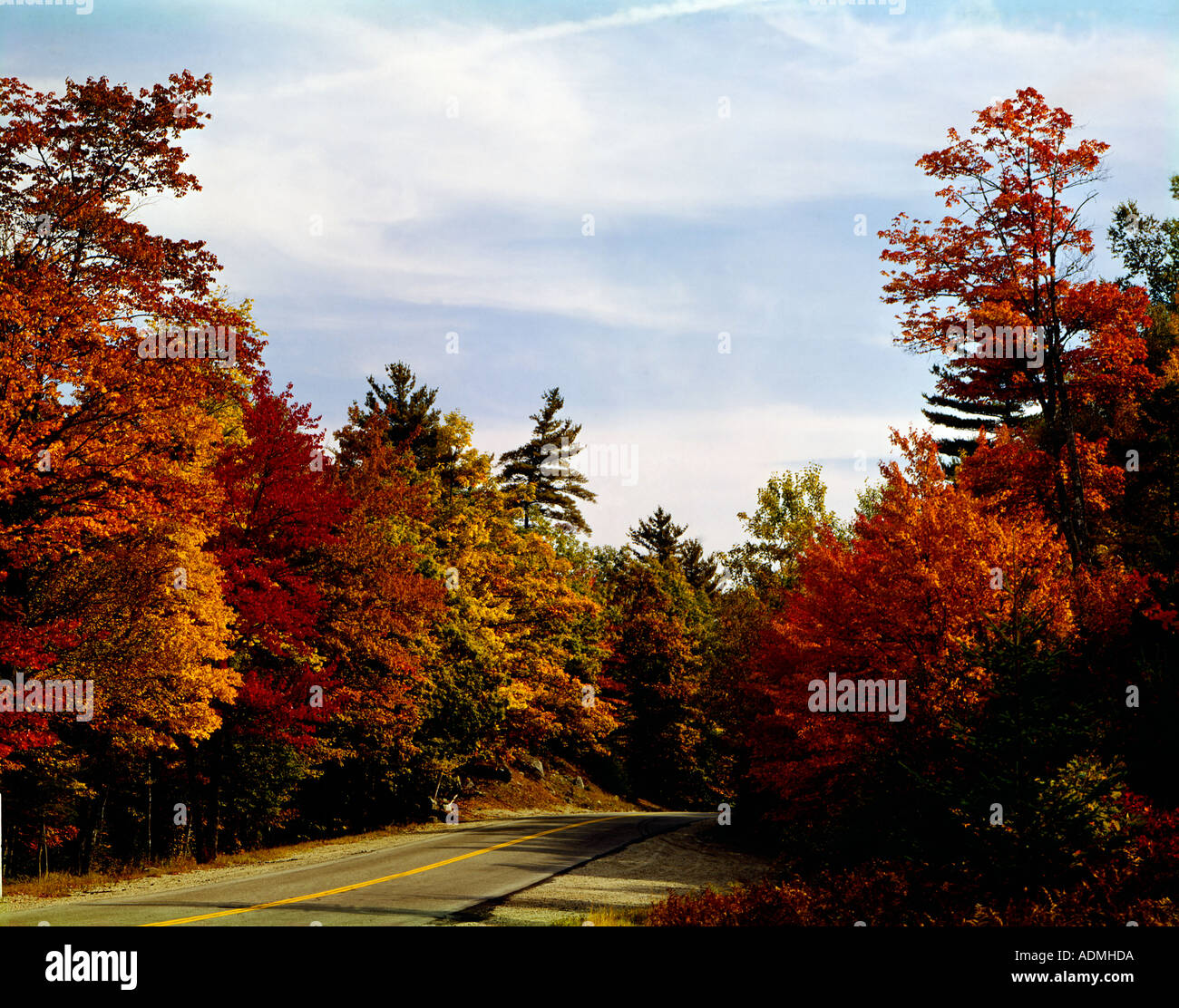 Maple red leaves near road hi-res stock photography and images - Alamy