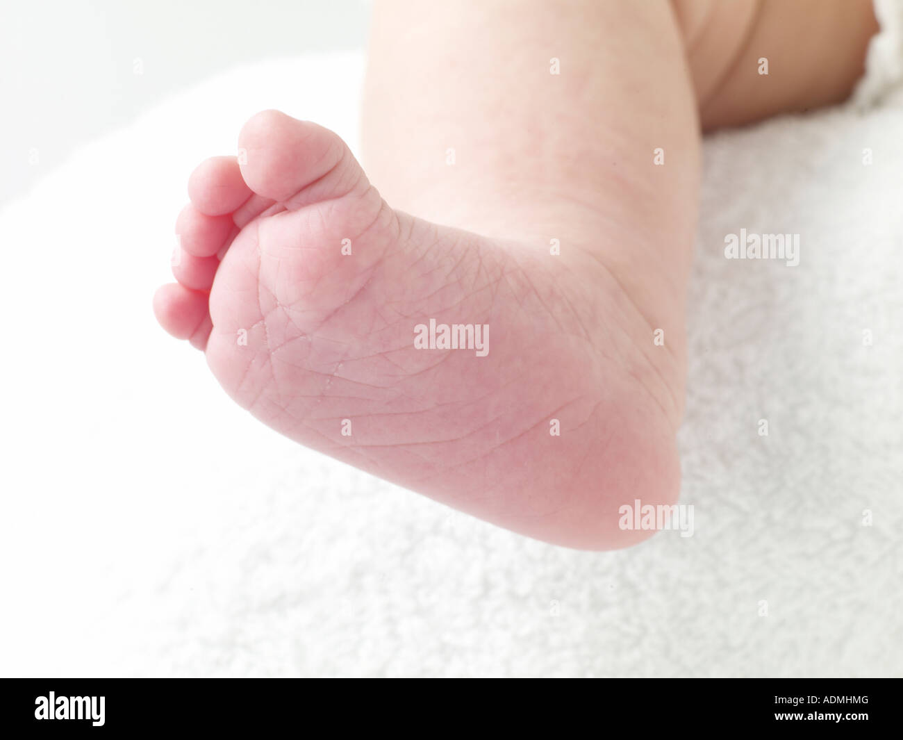 Close up of an infant s leg Stock Photo - Alamy