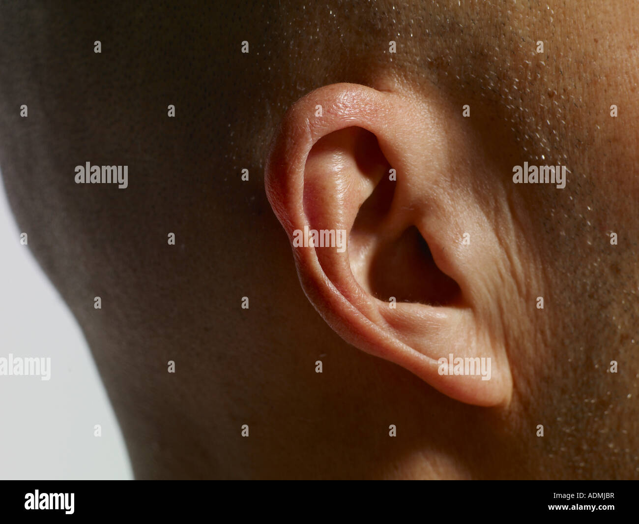 Asian human ear close up hi-res stock photography and images - Alamy
