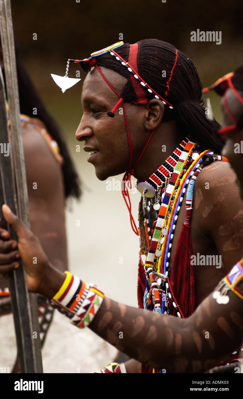 Masai tribesman with cattle hi-res stock photography and images - Alamy