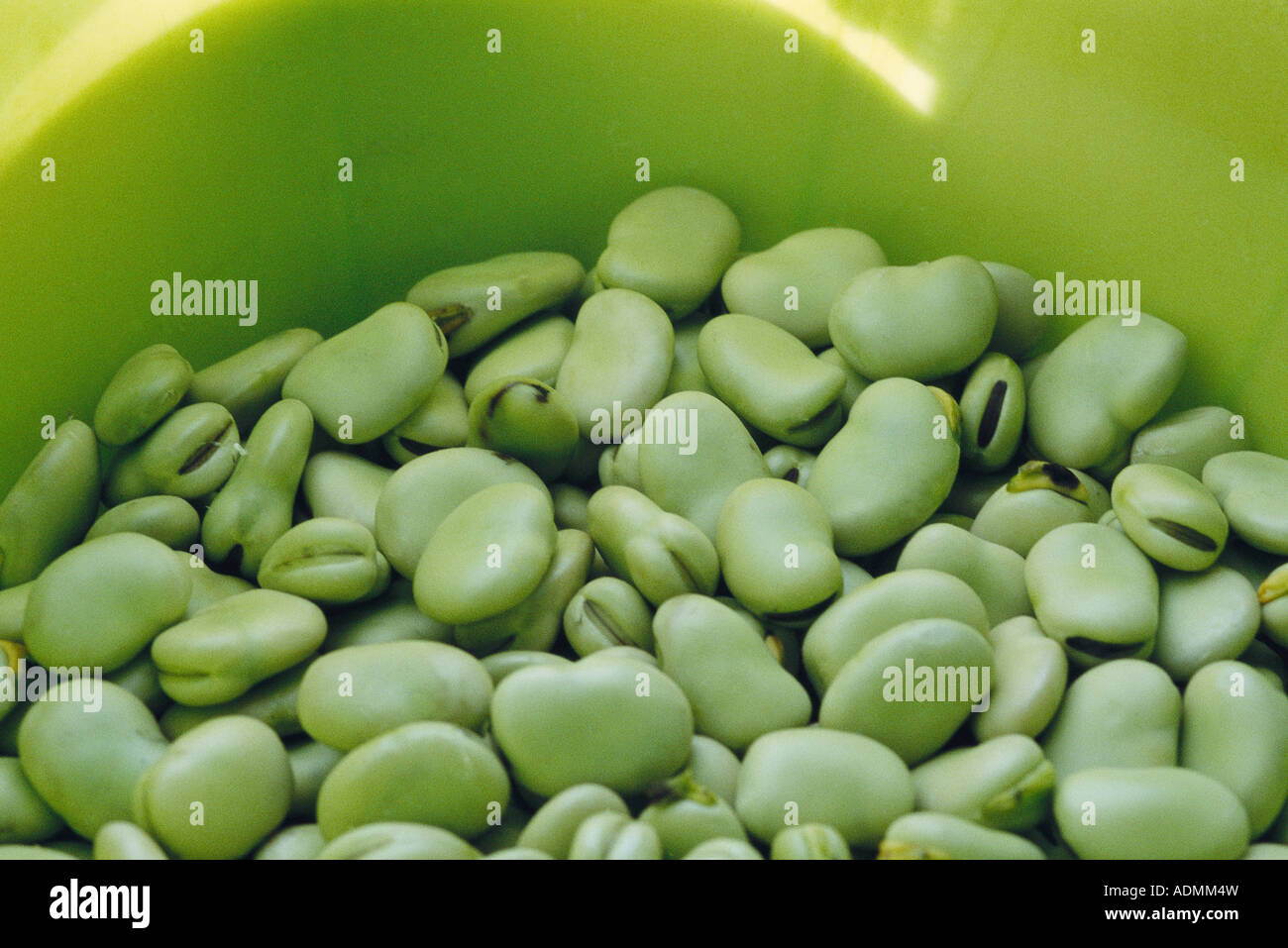 Partial view of green beans hi-res stock photography and images - Alamy