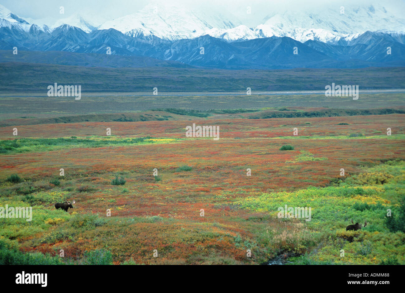 Yukon ranges hi-res stock photography and images - Alamy