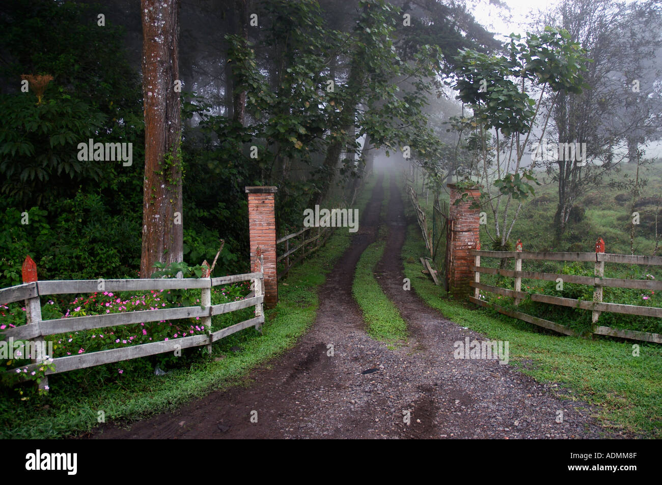 Country driveway hi-res stock photography and images - Alamy
