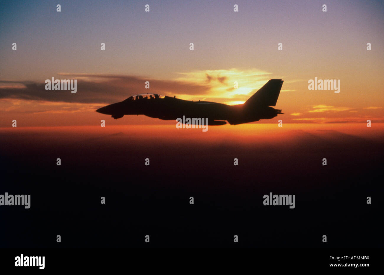 Silhouette of an F-14A Tomcat fighter plane in flight Stock Photo - Alamy