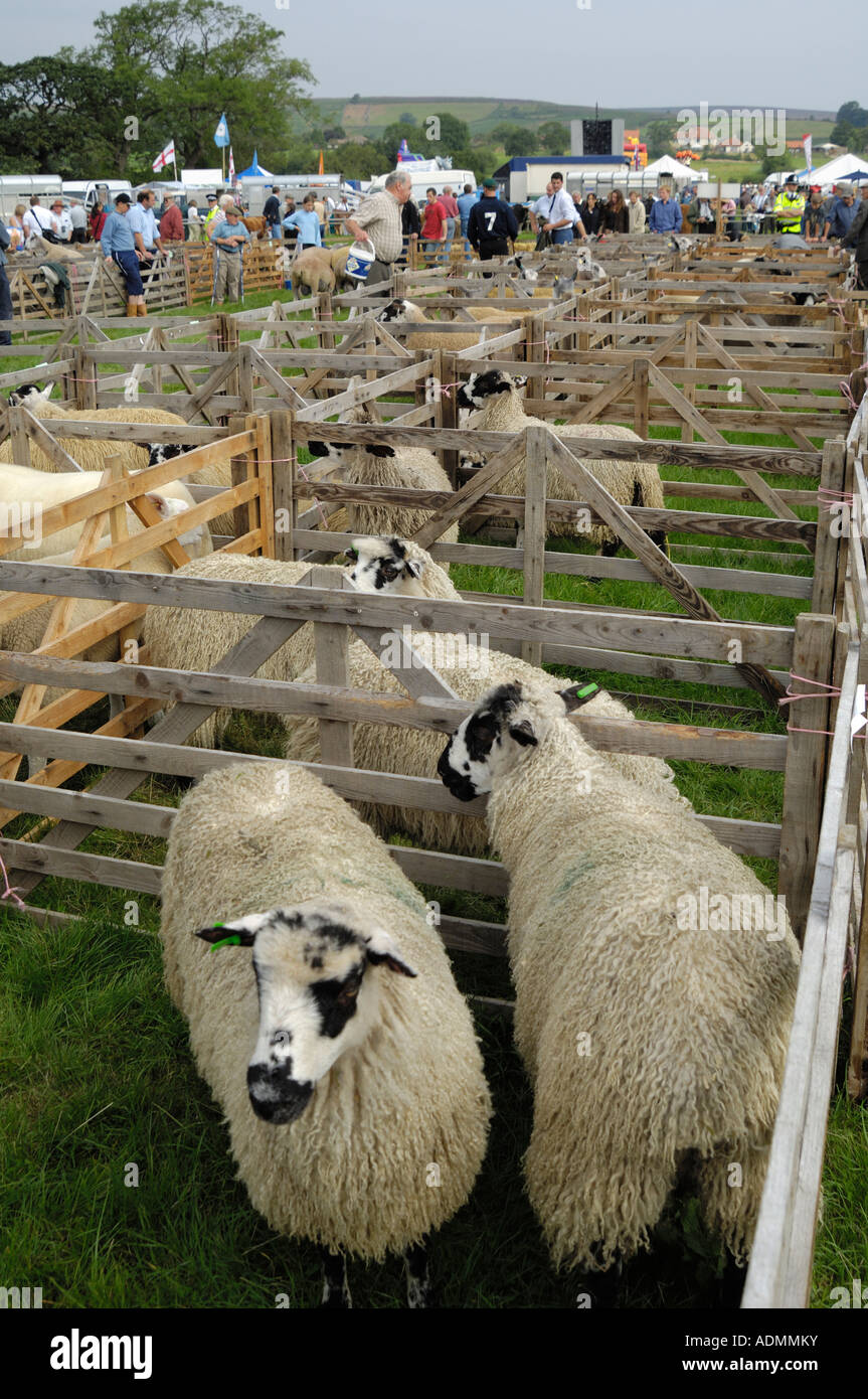 Danby show hi-res stock photography and images - Alamy