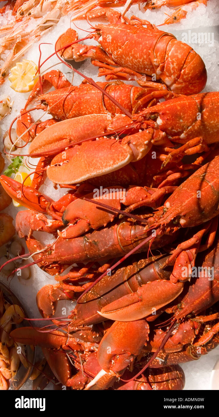 Lobsters and other seafood on display in a fishmongers Stock Photo - Alamy