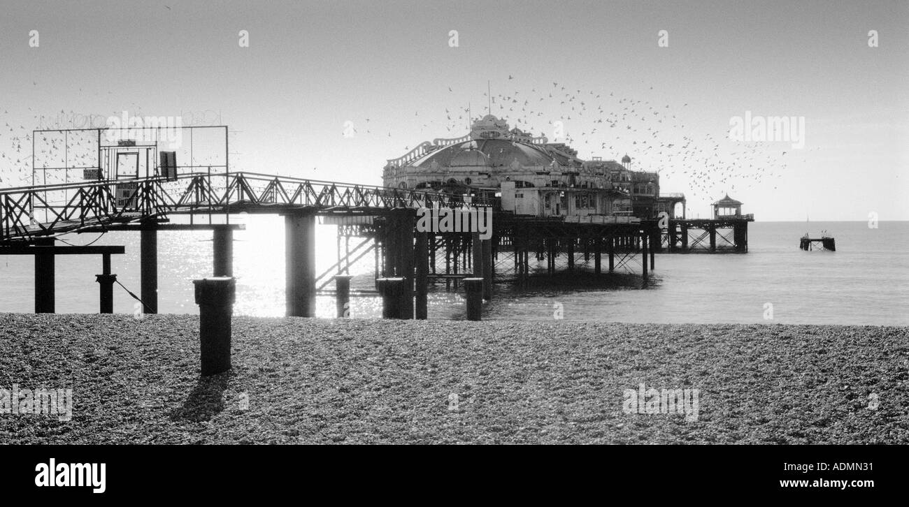 Old brighton pier hi-res stock photography and images - Alamy