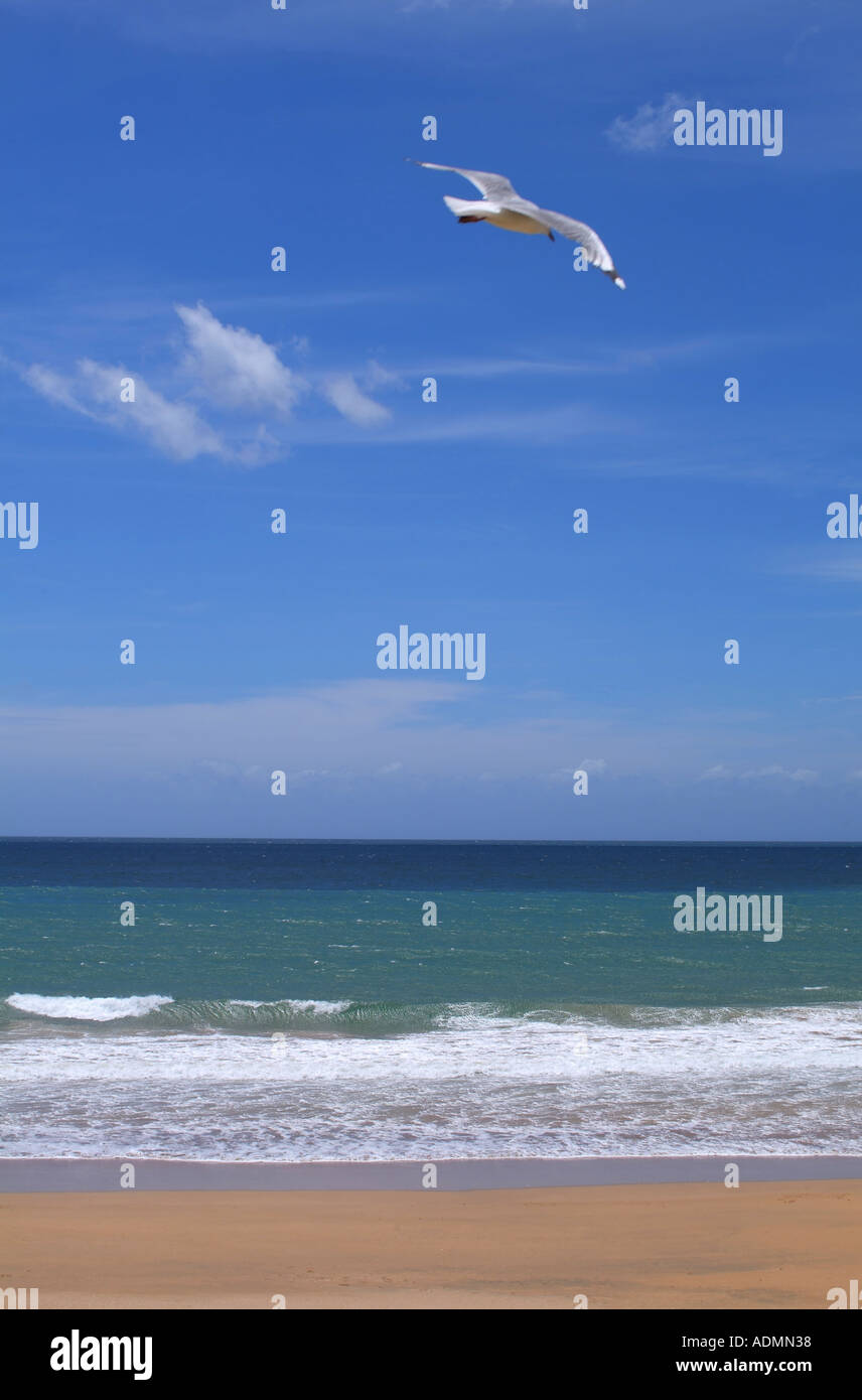 Cable bay New Zealand Stock Photo - Alamy