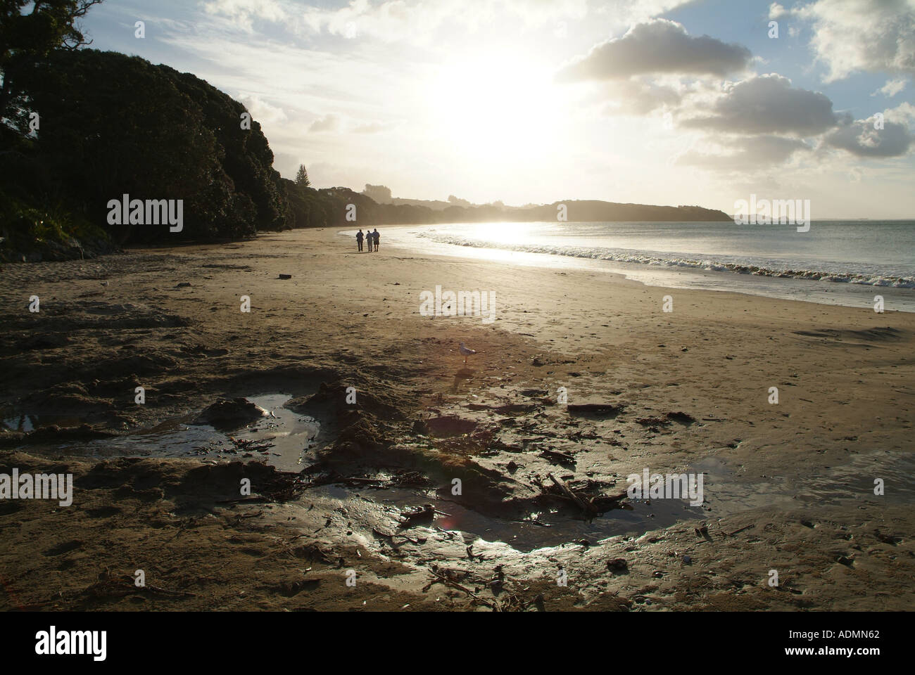 Coopers beach new zealand hi-res stock photography and images - Alamy