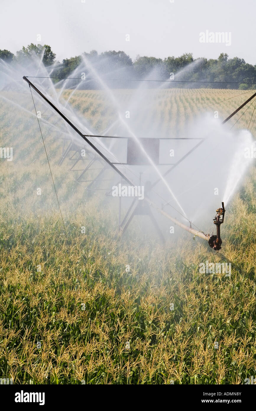 Irrigation Sprinkler Usa High Resolution Stock Photography and Images ...
