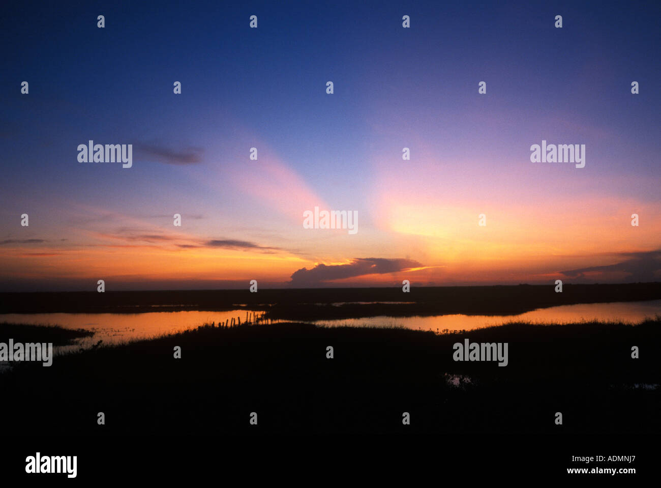 Los llanos venezuela hi-res stock photography and images - Alamy