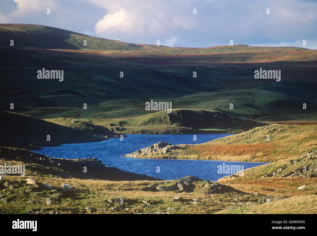 The cambrian pool hi-res stock photography and images - Alamy