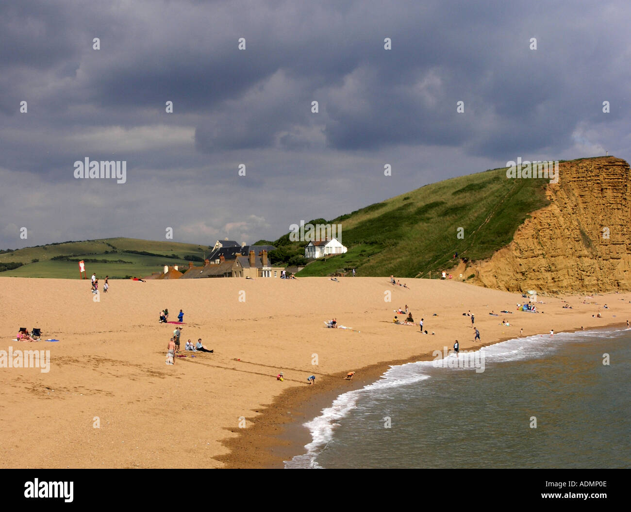 Chesil beach fossils hi-res stock photography and images - Alamy