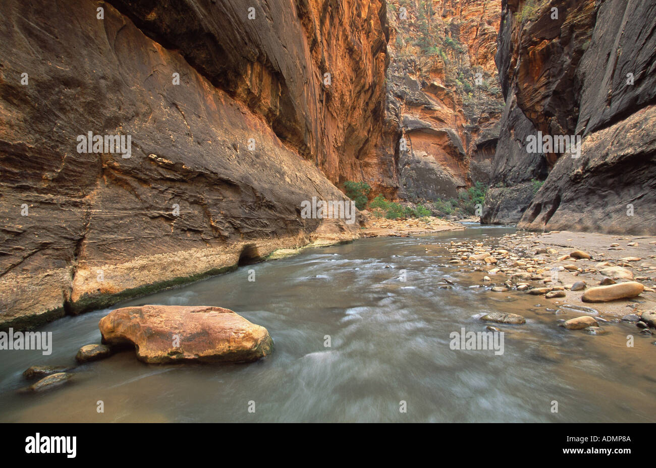 Zion Canyon, The Narrows, canyon with river runnung through it, steep ...