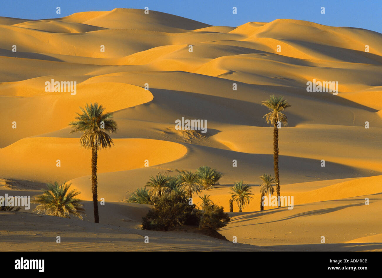 Parabolic Sand Dunes