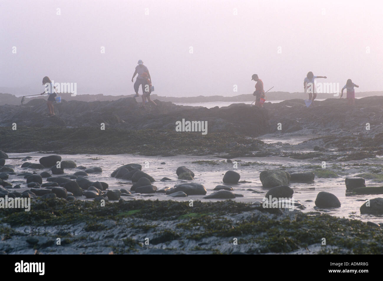 Tidal rock pools hi-res stock photography and images - Alamy