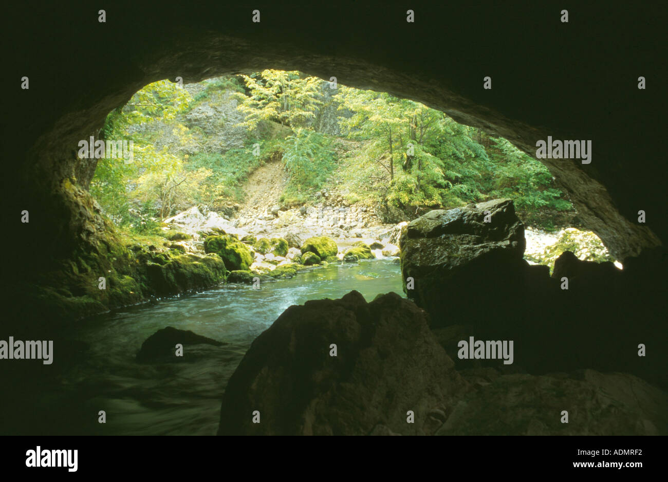 Biotope Of The French Cave High Resolution Stock Photography and Images ...