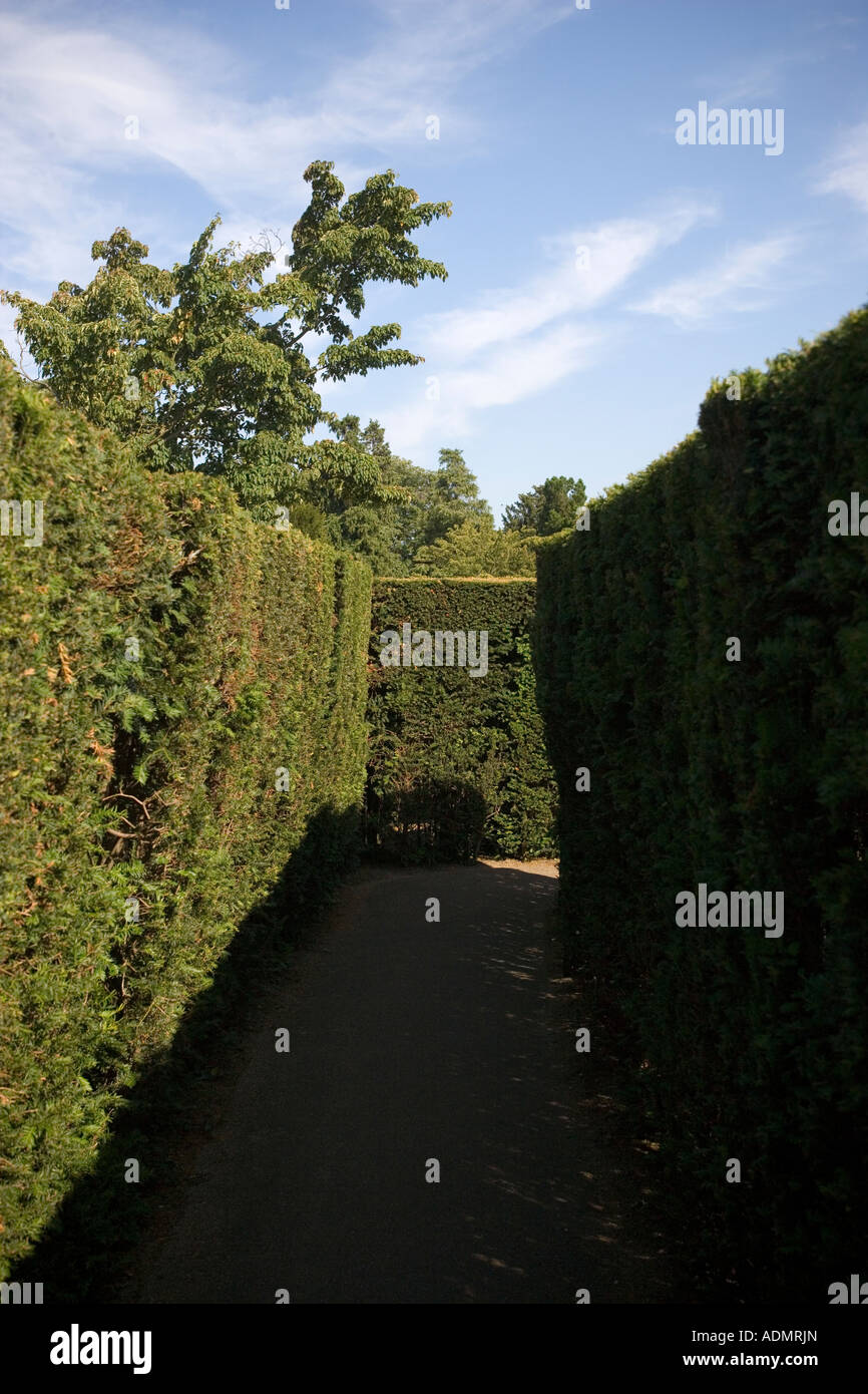 Hampton court palace maze hi-res stock photography and images - Alamy