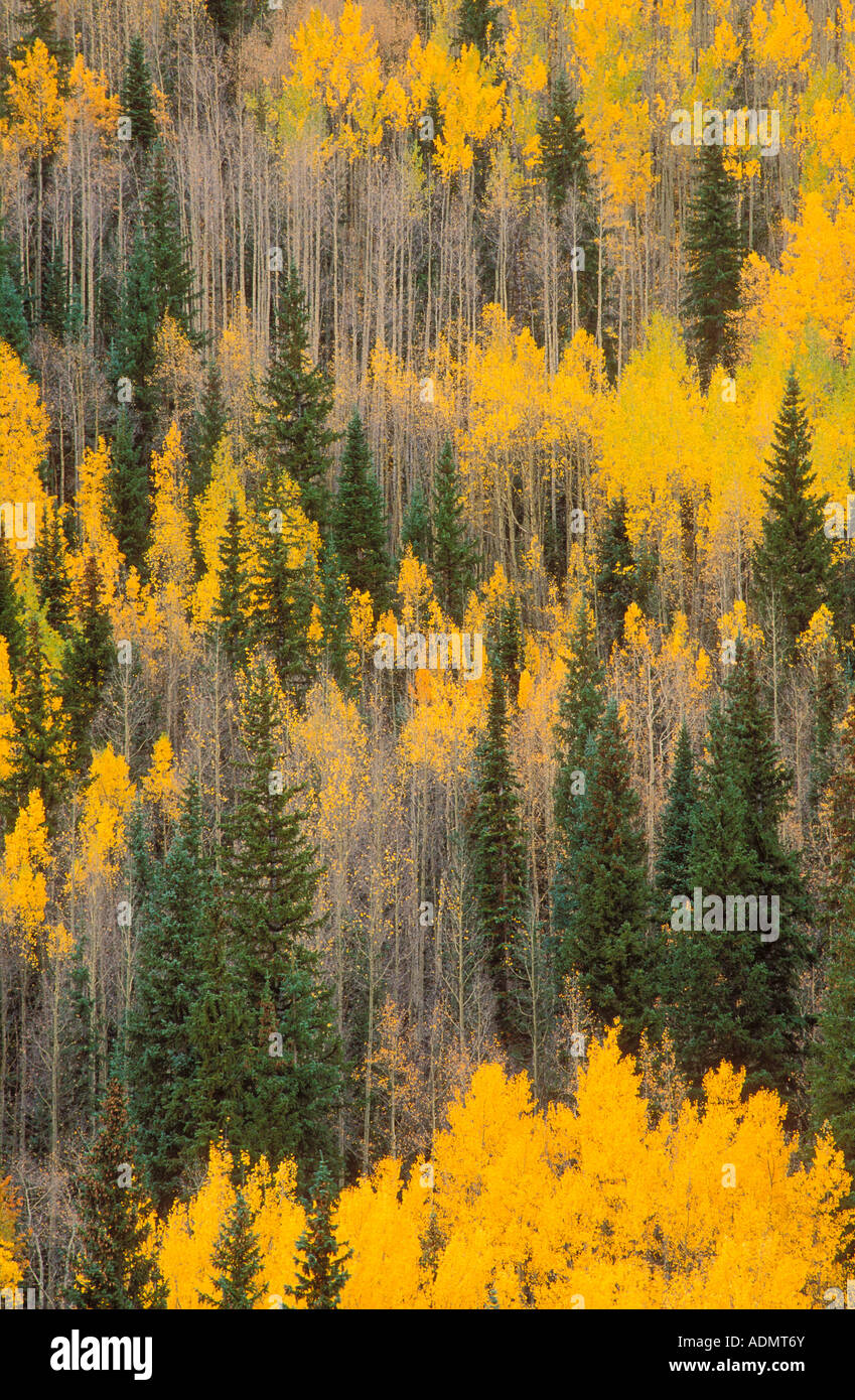 Uncompahgre plateau hi-res stock photography and images - Alamy