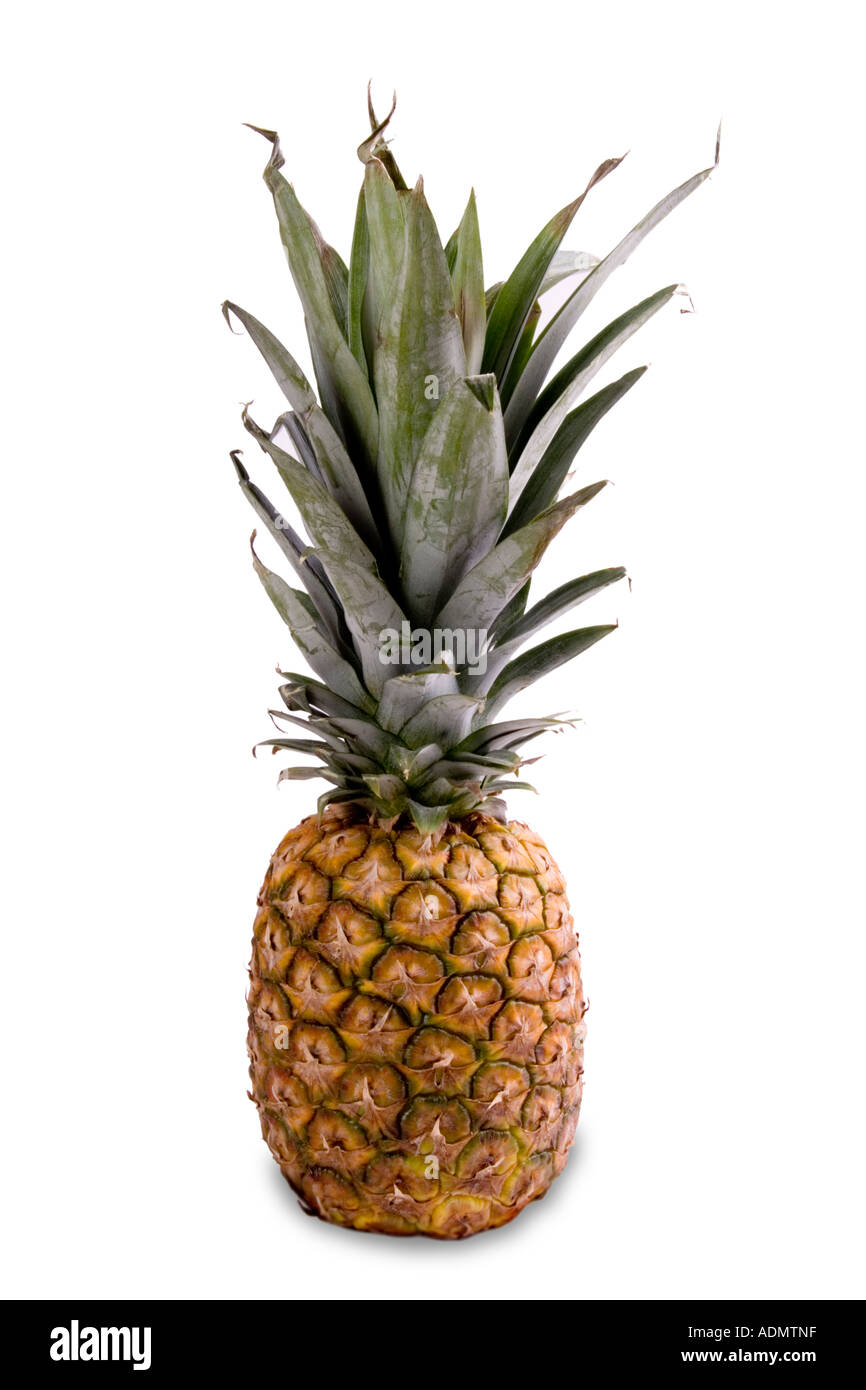 Pineapple comosus fruit Cut Out Stock Images & Pictures - Alamy
