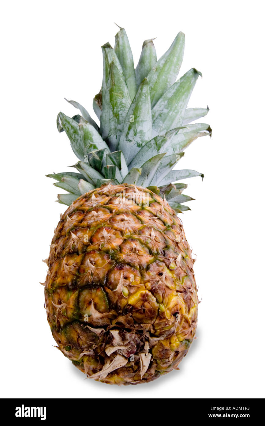 Pineapple ananus comosus Stock Photo - Alamy