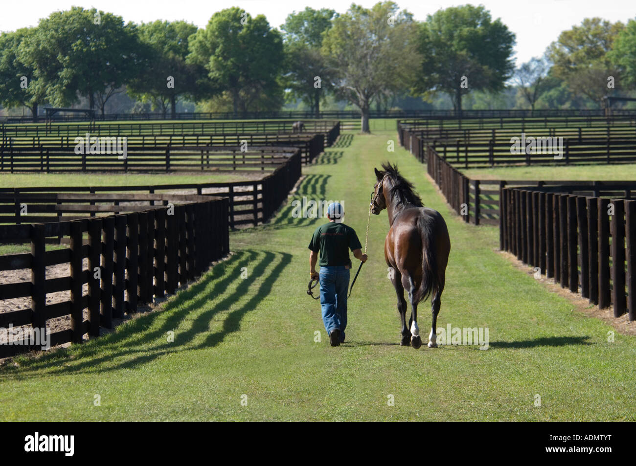 Groom leading horse hi-res stock photography and images - Alamy